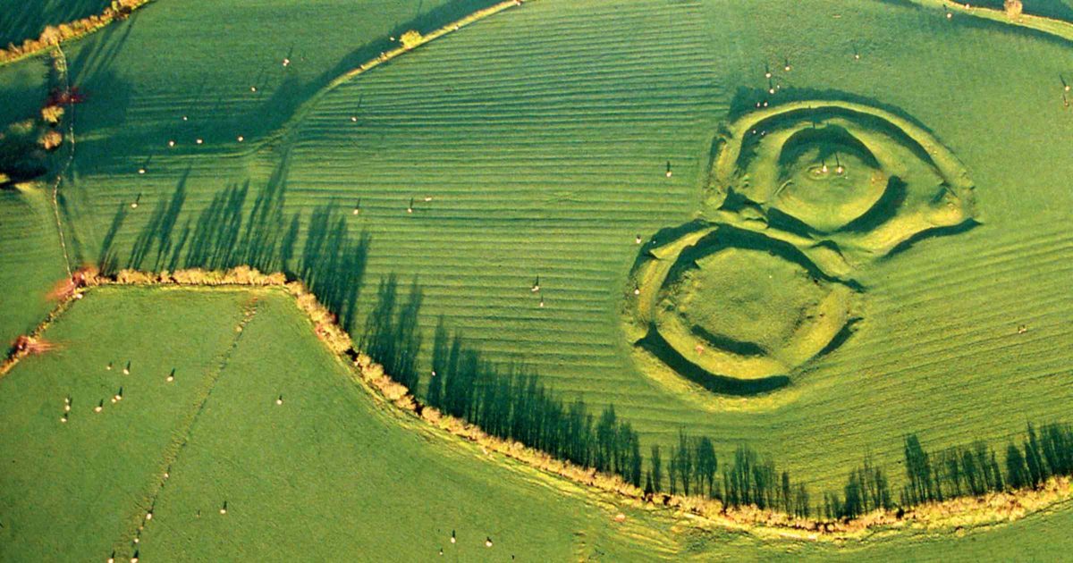 What we do | Heritage Ireland