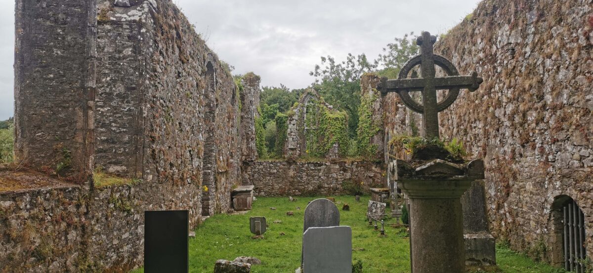 Castlelyons Carmelite Priory | Heritage Ireland