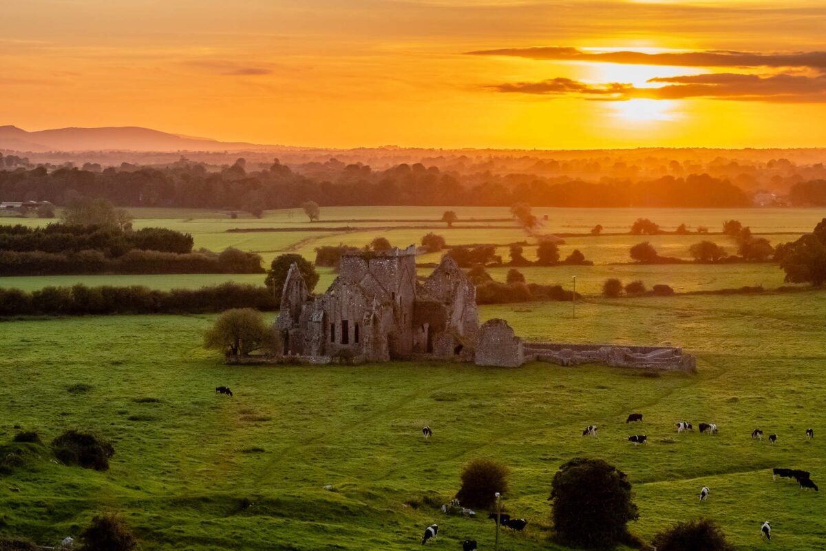 Hore Cistercian Abbey | Heritage Ireland
