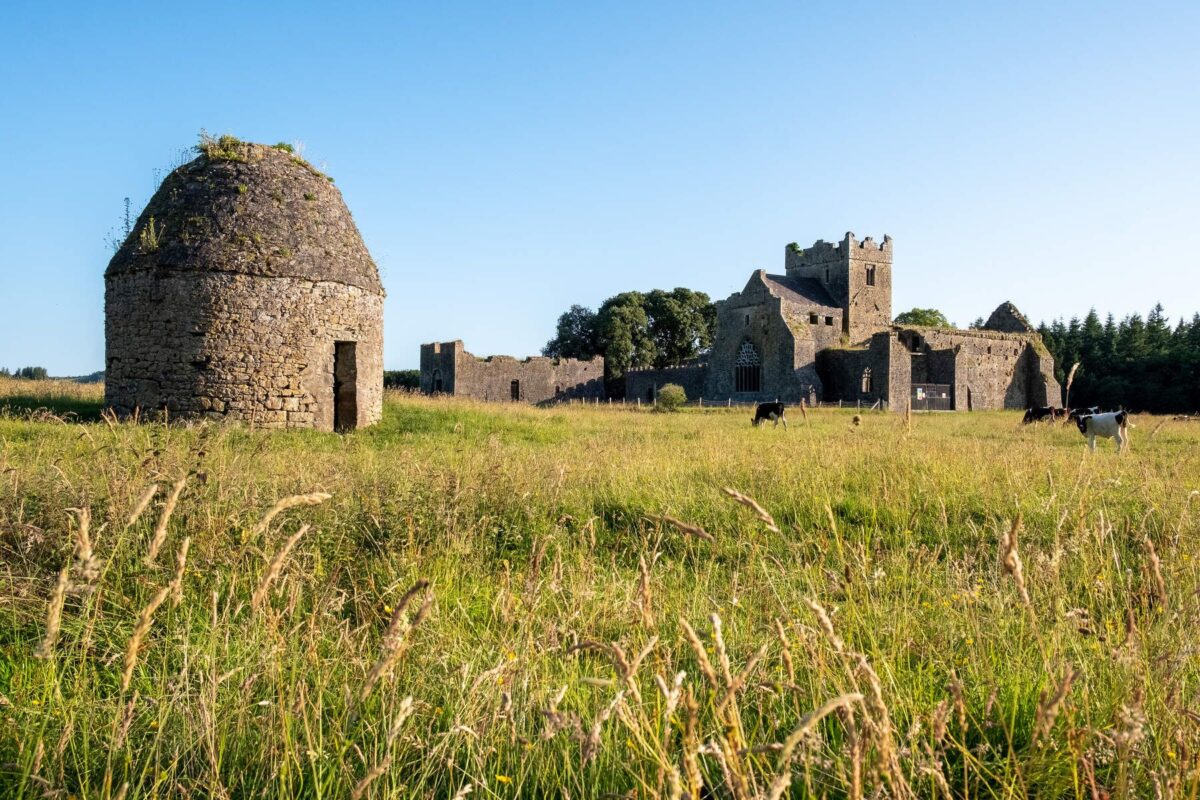 Kilcooley Cistercian Abbey | Heritage Ireland
