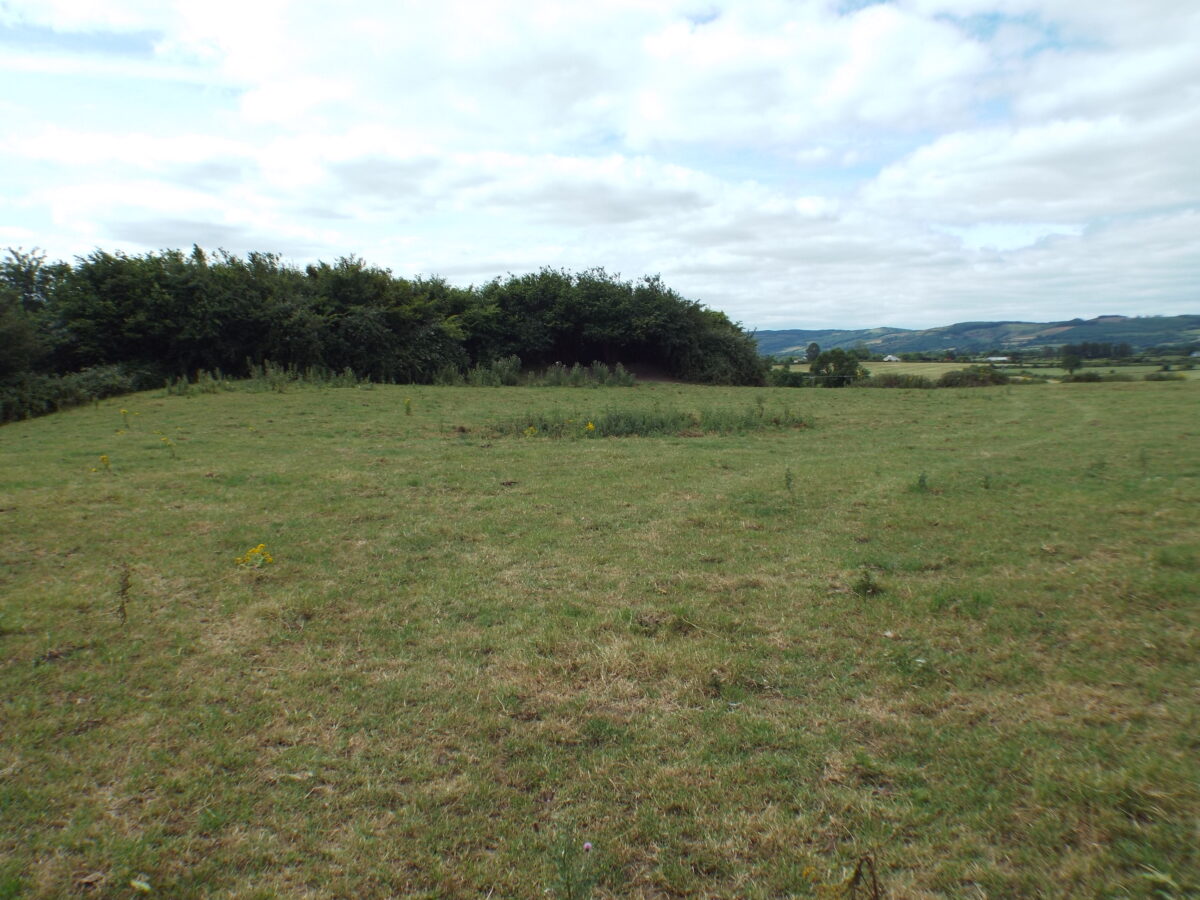 Ardagh Ringfort | Heritage Ireland