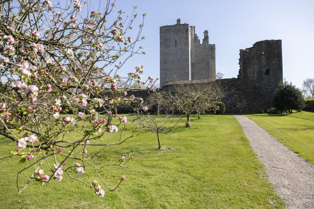Barryscourt Castle – Battle Scarred But Brought Back to Life | Heritage ...